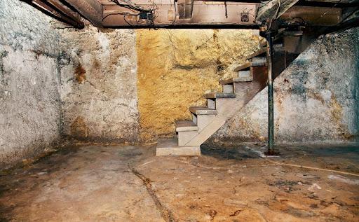 3 Basement Damage Risks - DRYmedic Restoration Services