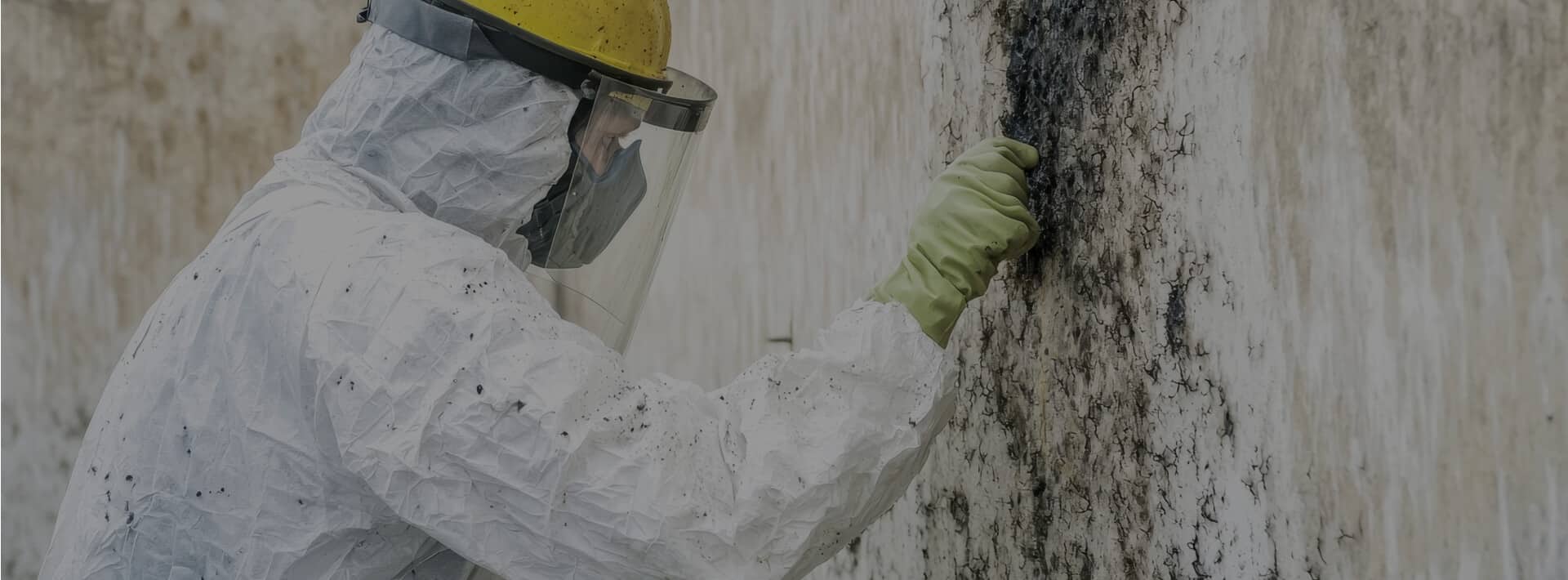 Mold Remediation | DRYmedic Greenville, SC